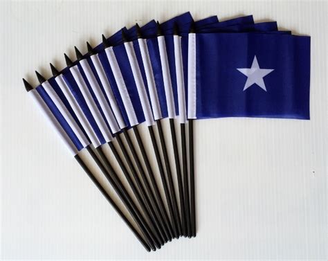Bonnie Blue Miniature Flag Historical Flags