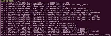 Is My IOMMU Set Up Correctly I Do Lspci Nn And This Is What I Get