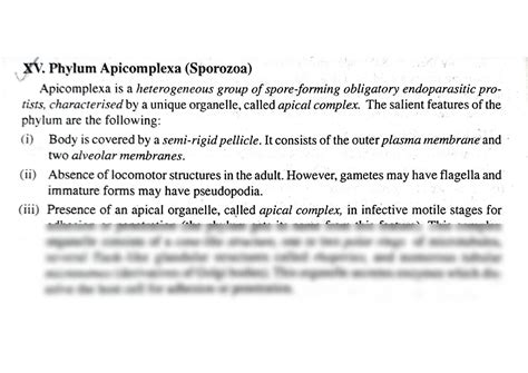 Solution Phylum Apicomplexa Studypool