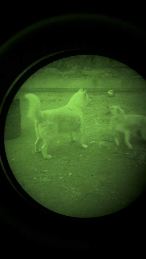 Photonis Echo High Gain Pvs 14 Rnightvision