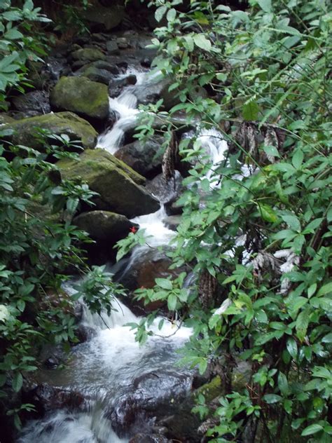 Banco De Imagens Montanha Corrente Chuva Agua Reserva Natural