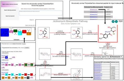 Sbspksv2 Structure Based Sequence Analysis Of Polyketide Synthases And