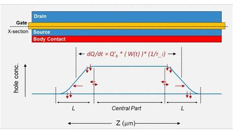 In The Boundary Regions Near The Central Part There Is A Net