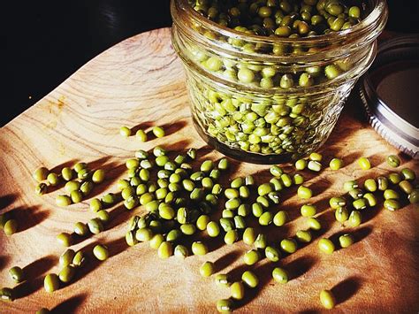 BYOL Mung Beans And Sprouting Guide