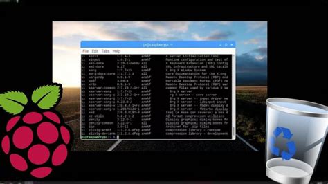 how to remove uninstall programs on the raspberrypi raspberry