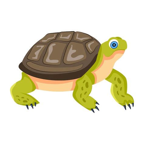 Premium Vector Pack Of Cute Tortoise Flat Icons