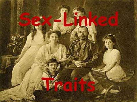 sexlinkedtraits full detailed explanation ppsx