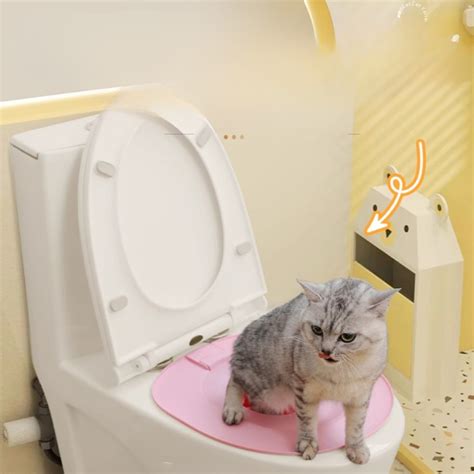 Cat Toilet Seat Training Kit How To Teach Cat To Use Toilet Pawpycup