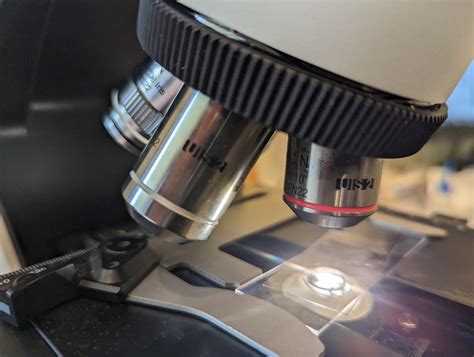 Microcell Sciences Microcell Sciences