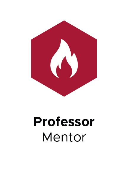 O Professor Mentor Pda Espm