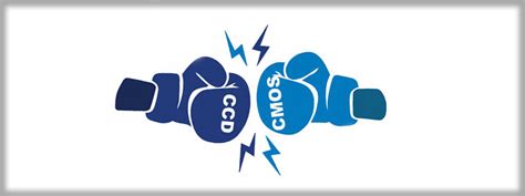 Infographic Ccd Vs Cmos Sensors