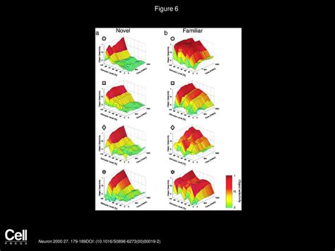 gregor rainer earl k miller neuron ppt download