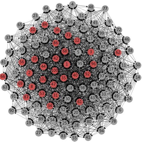Doctor Information Interactive Network Core Periphery Structure
