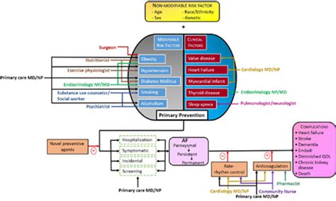 Hybrid Treatment Of Atrial Fibrillation Thoracoscopic And Catheter Ablation Of Af Thoracic Key