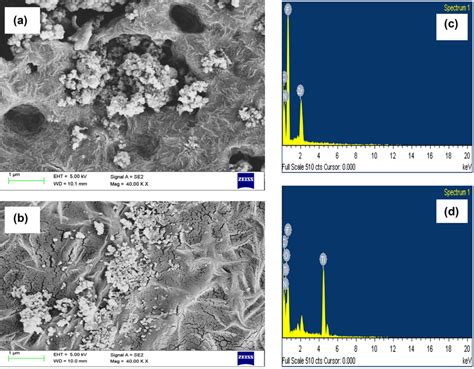 Sem Image Of A Zro2pvdf Trfe B Sem Image Of Tio2 Pvdf Trfe C Download Scientific
