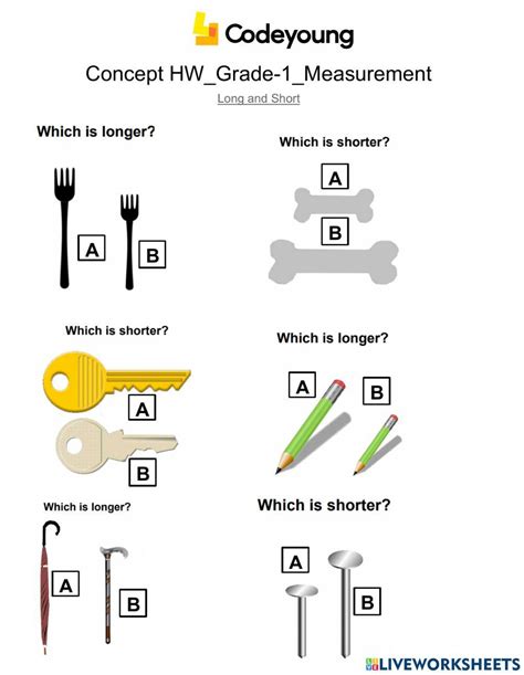 Long And Short Hw Worksheet Live Worksheets