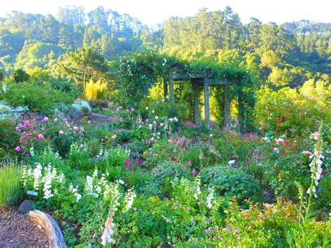 23 Botanical Garden California Ideas You Must Look Sharonsable