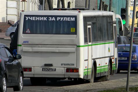 "6547 ан 50" photos PAZ 4230 Аврора. Russia