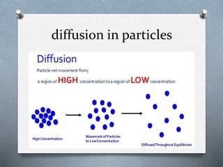 Diffusion Osmosis PPTX