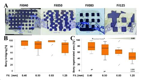 osteoconduction and bone regeneration from filament based fil type