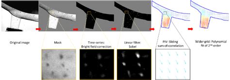successive image processing steps for micro piv data evaluation