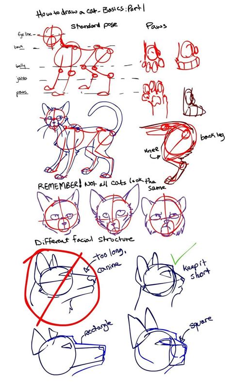 How To Draw A Cat Part 1 By Kytes On Deviantart How To Draw Puzzles