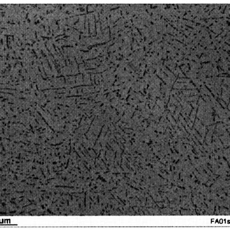 Initial Microstructure Fig 2 1035 C 3 Min Treated Structure