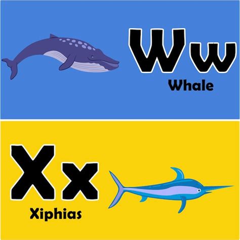 알파벳 W와 X 프리미엄 벡터