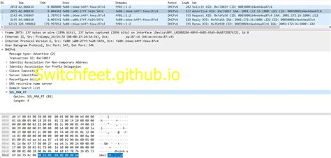 Dhcpv6 Sol Max Rt 82 Option Switchfeets Tech Note