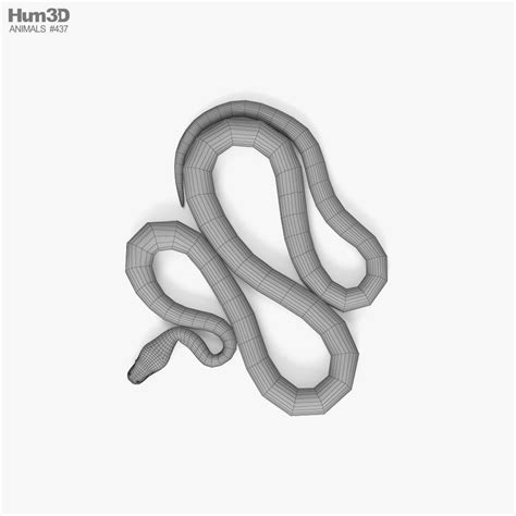 Common Python 3d Model Download Reptile On