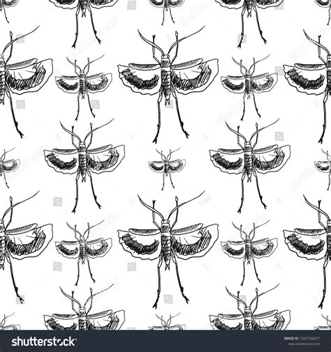 Grasshopper Seamless Pattern Isolated On White Stock Vector Royalty