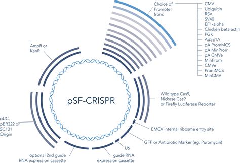 Crispr Wallpapers Wallpaper Cave
