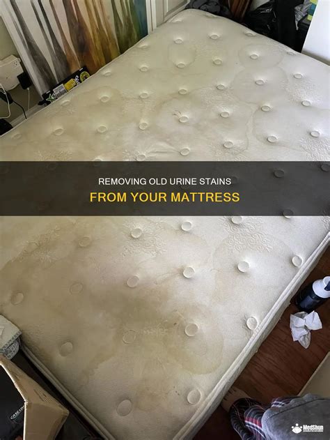 Removing Old Urine Stains From Your Mattress | MedShun