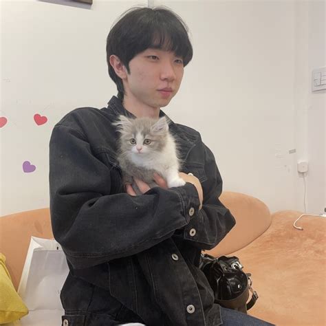 분양후기 05 08 노르웨이숲 분양후기 유어펫 공식사이트 강아지분양고양이분양