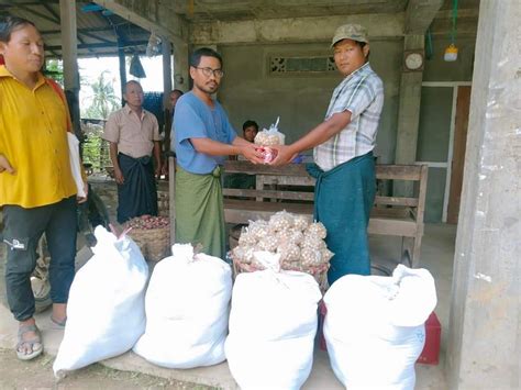 Khit Thit Media ယင်းမာပင်မြို့နယ်ရှိ ရေဘေးသင့်