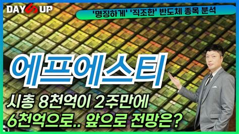 에프에스티 주가전망 시총 8천억에서 2주만에 6천억대로 하락 앞으로 어떻게 될까 Youtube