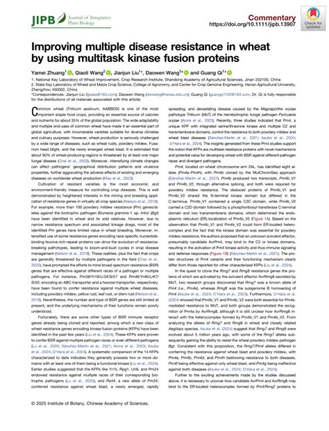Improving Multiple Disease Resistance In Wheat By Using Multitask