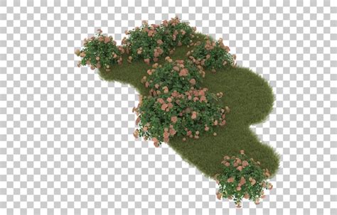 Page 6 Playground Arial View Psd 1000 High Quality Free Psd