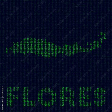 Digital Flores Logo Island Symbol In Hacker Style Binary Code Map Of
