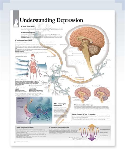 Understanding Depression Chart 22×28 Artofit