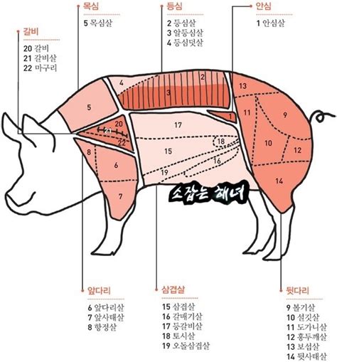 돼지고기 부위 이야기 가브리살 등심덧살은 어디부위인가 네이버 블로그