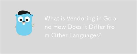 go 中的 vendoring 是什麼？ golang php中文網