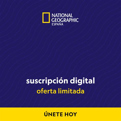 La Avispa Oriental En España Así Es La Especie Invasora Vista En Jaén
