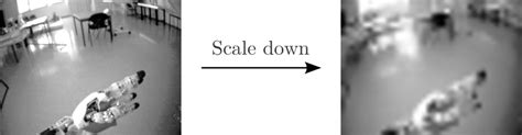 Preparation Of Data The Images In The Dataset Are Scaled Down To A Download Scientific