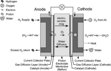 Polymer Electrolyte Membrane Fuel Cell