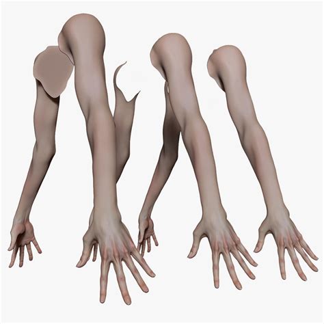 Female Pro Arm Sculpt Project 3d Model Turbosquid 2052469