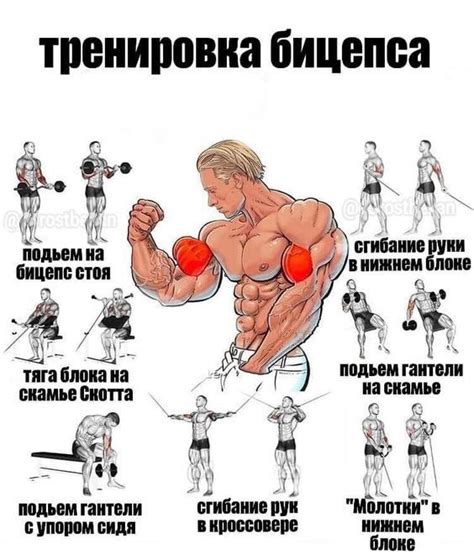 Эффективные стратегии для укрепления бицепса Gym Workout Planner Online Workouts Workout Videos