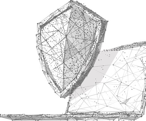Standard And Advanced Penetration Testing Janus