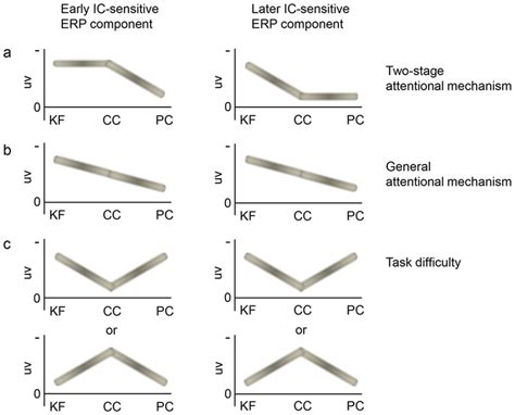 Diagram Of The Predictions Regarding The Neural Processing Of Illusory Download High