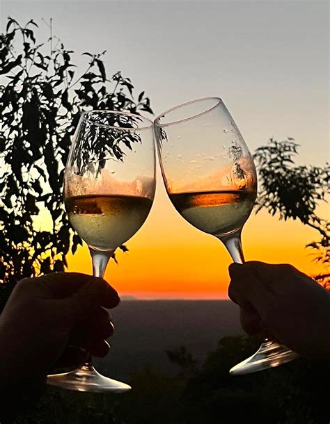Pouring Perfection Our Big Five Of South African Wine Varietals